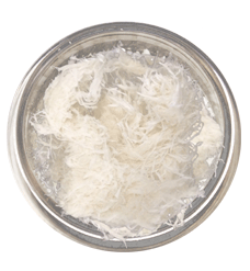 Home | Induce Biologics