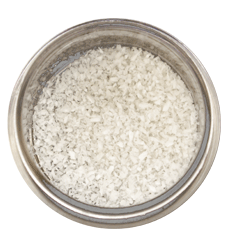 Home | Induce Biologics