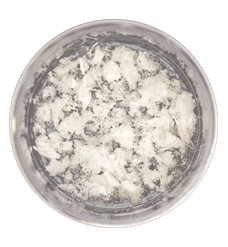 Home | Induce Biologics